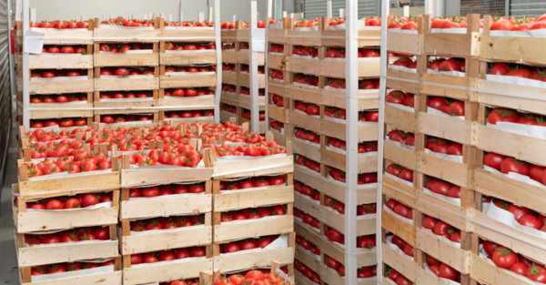 Delving Into Perishable Food Shipping Solutions That Can Reduce Waste